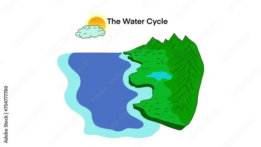 The water cycle diagram, representation of the water cycle in nature ...