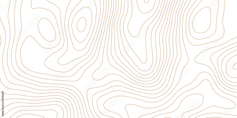 Topographic map background geographic line map pattern .panorama view ...