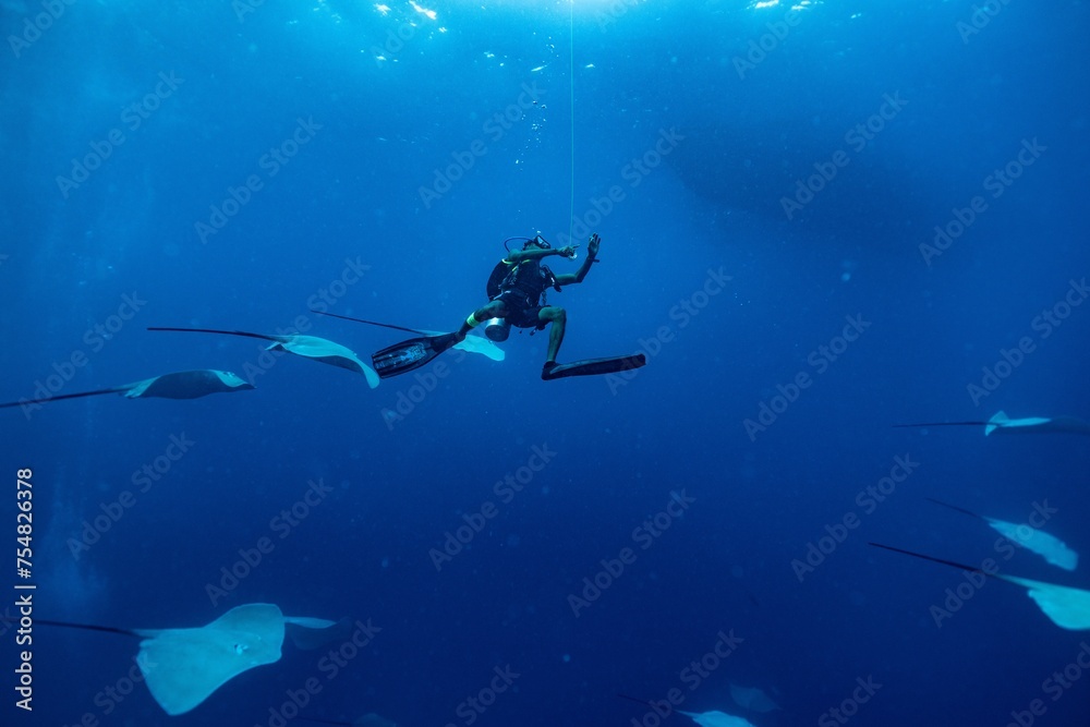 This photo is about scuba diving in the Maldives Islands. Starting from ...