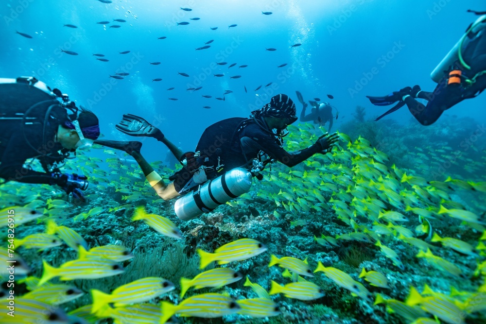 This photo is about scuba diving in the Maldives Islands. Starting from ...
