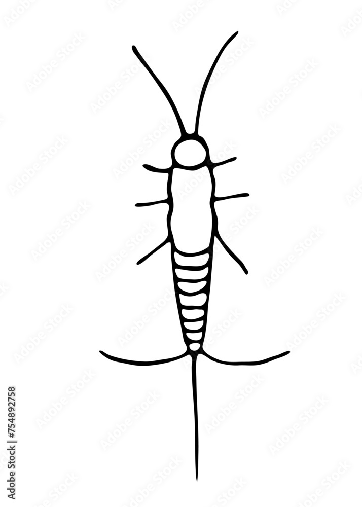 Simple black outline vector drawing. Insect silverfish, domestic pest ...