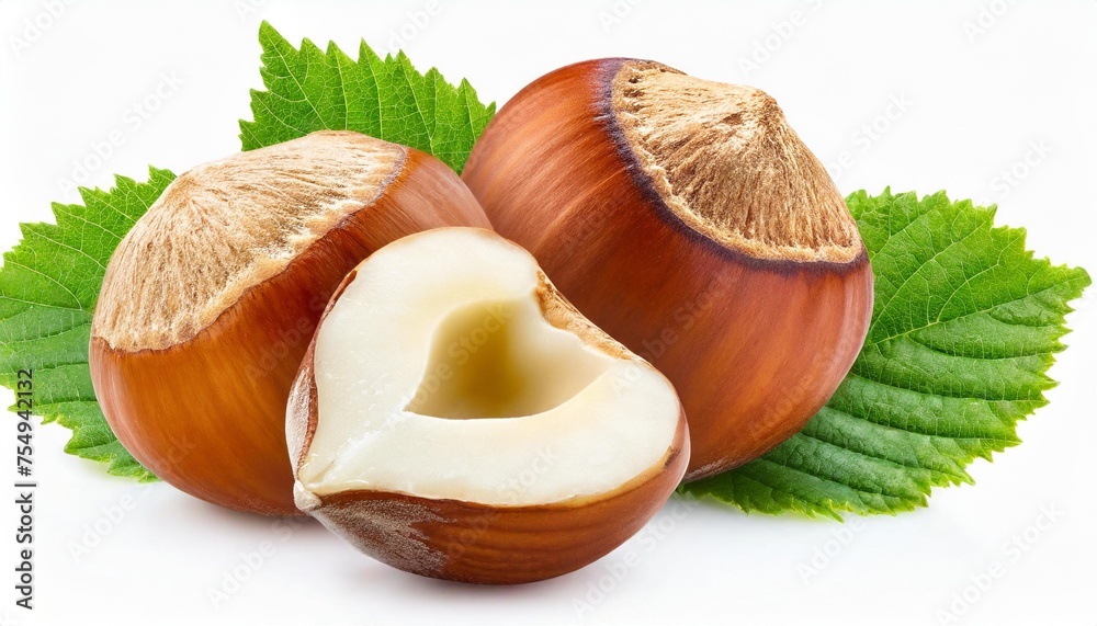 hazelnut with leaf isolate hazelnut peeled and unpeeled with leaves on ...