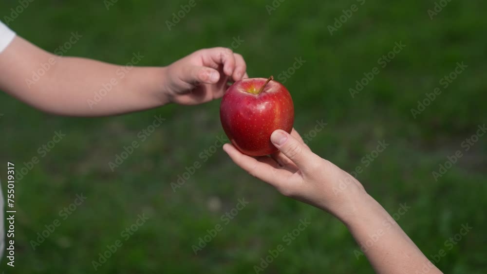 Little boy hand taking red ripe apple from mother arm with care and ...