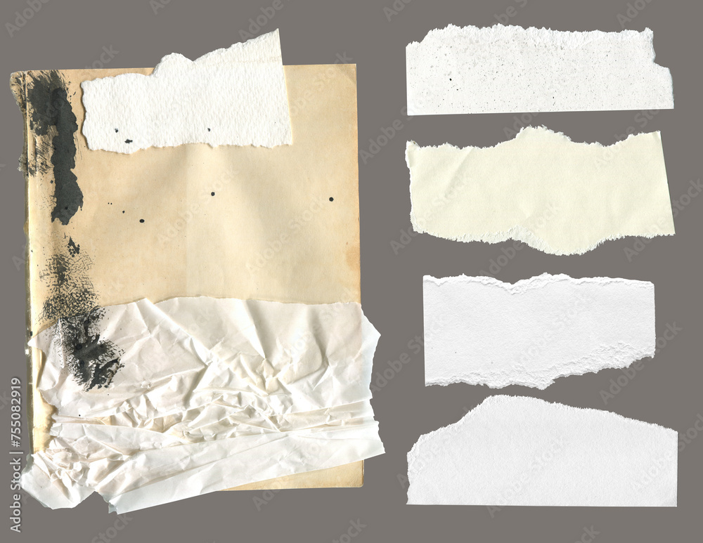 Torn paper pieces set. Light beige shapes with jagged uneven edges ...