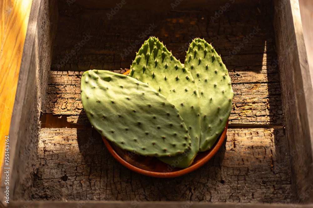 Cosecha de nopales. Nopales frescos recien cortados, sobre plato de ...