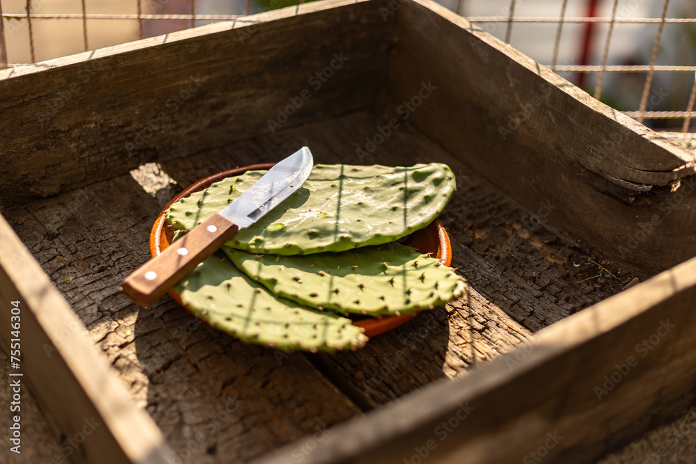 Cosecha de nopales. Nopales frescos recien cortados, sobre plato de ...