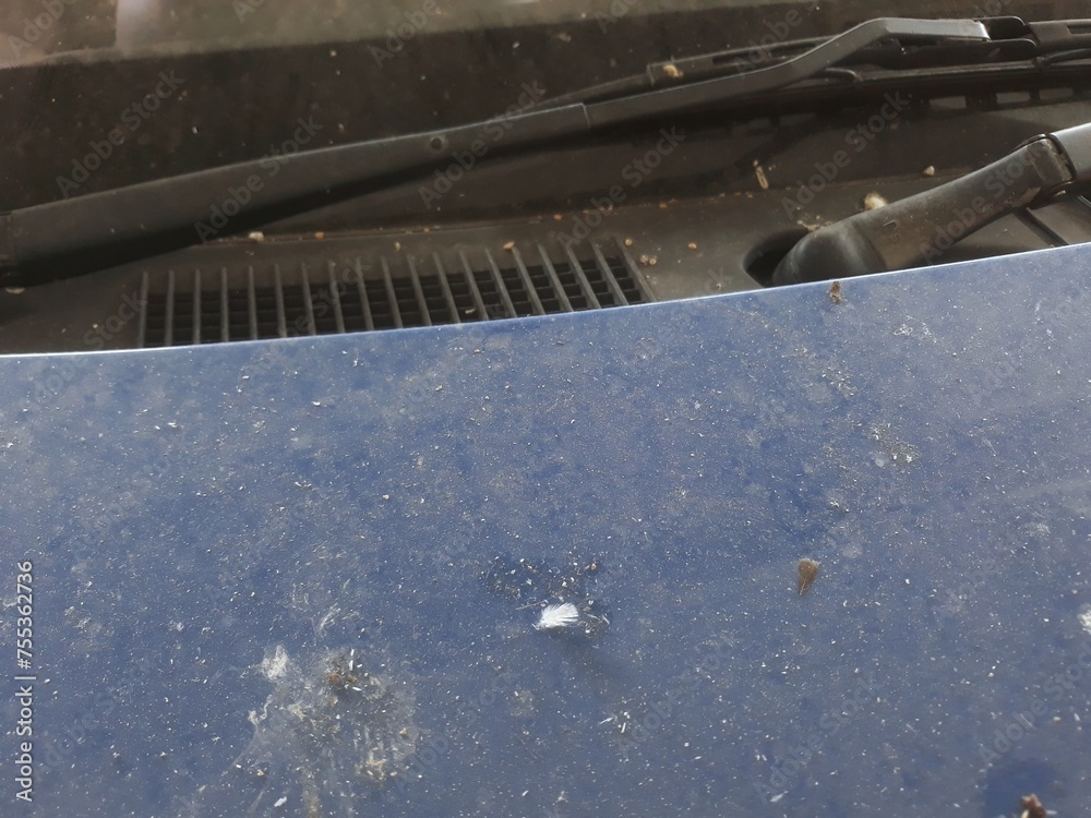 The roof and hood of the blue car full of bird poop droppings Stock ...