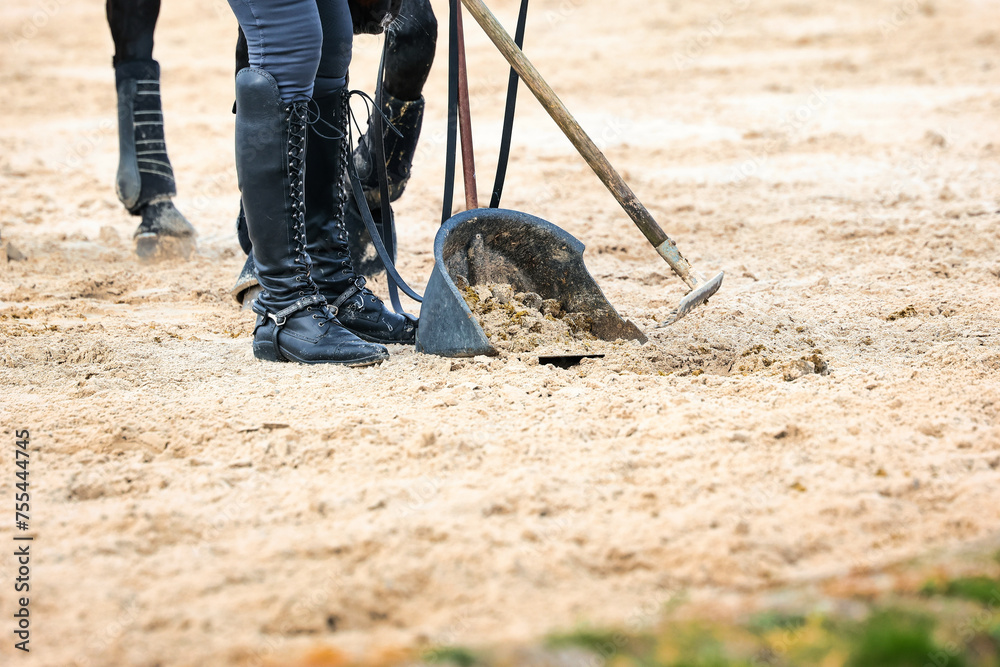 Rider with horse collecting horse manure with the Äppelboy, close-up of ...