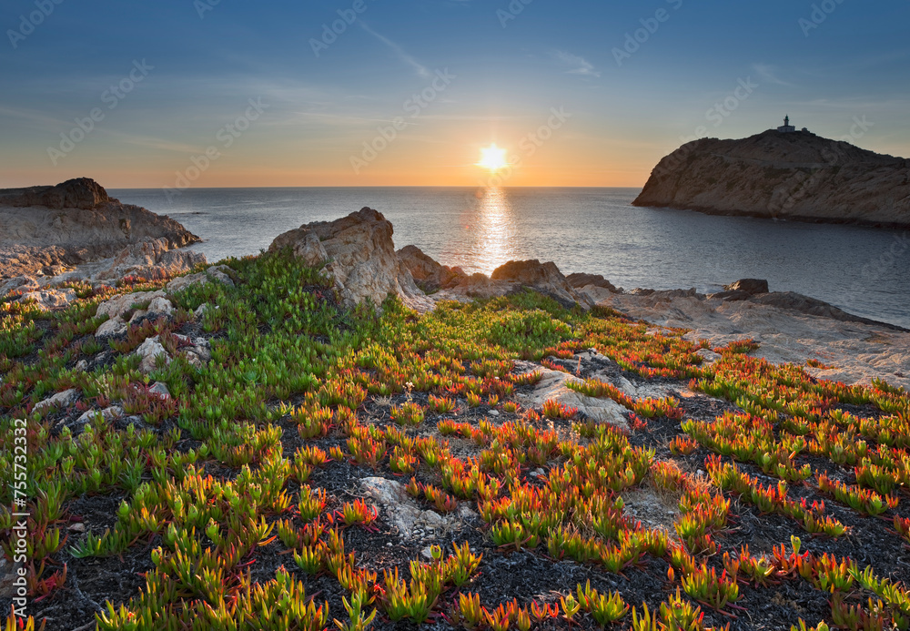 Frankreich, Korsika, L'Ile Rousse, Leuchtturm, Phare de la Pietra ...