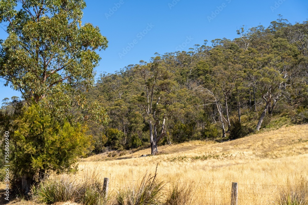 dry hot farming landscape in australia. drought on a farm with bare ...