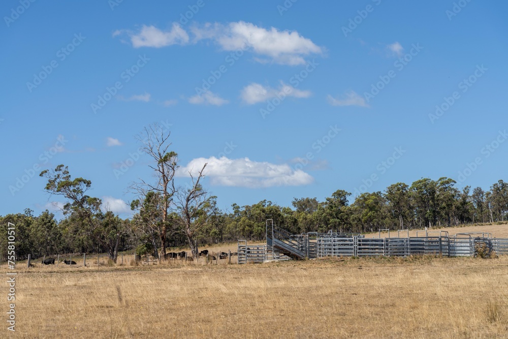 dry hot farming landscape in australia. drought on a farm with bare ...