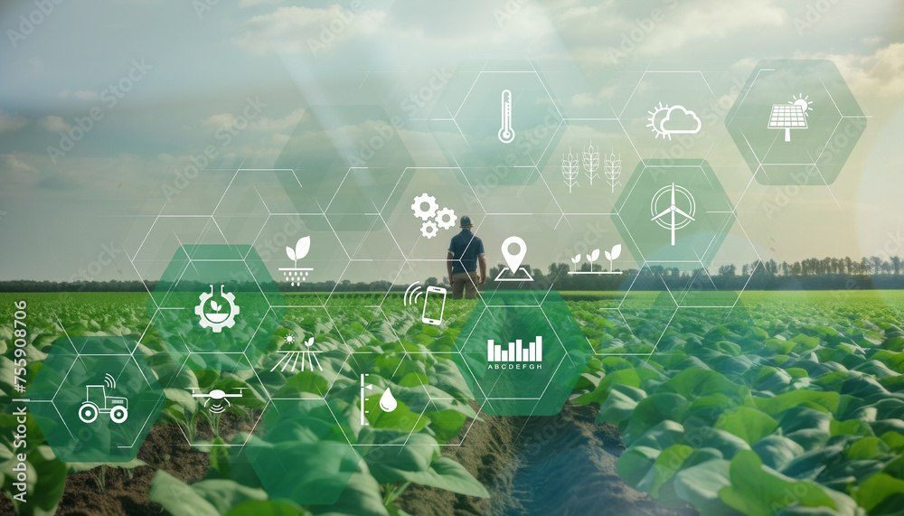 Agronomist in the field produces crops with zero environmental impact ...