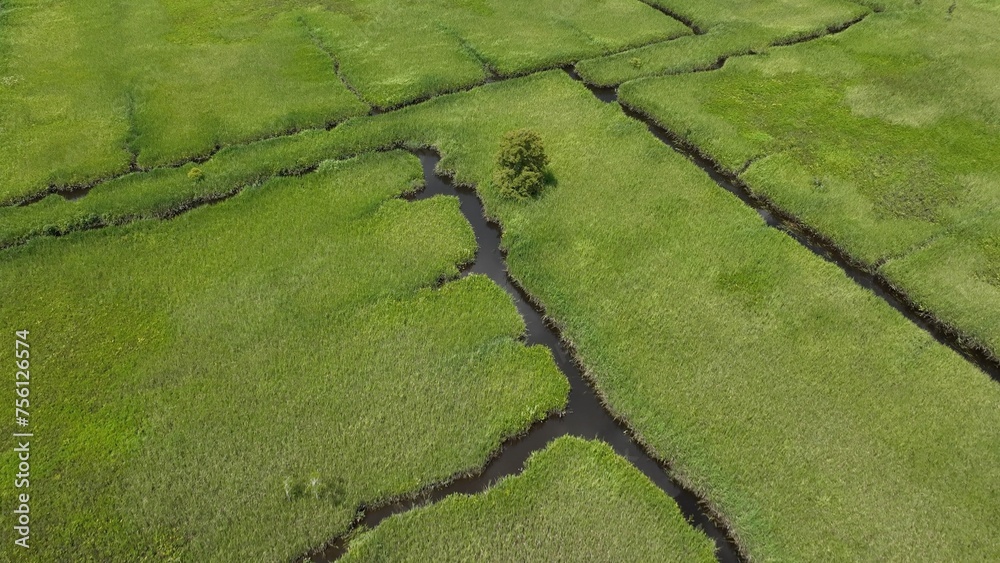 History Ricefield remains cultivated by black african slave labor on ...