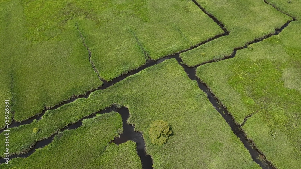 History Ricefield remains cultivated by black african slave labor on ...