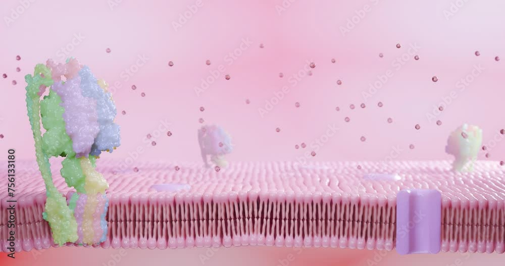 Simulated image of cell membrane, a component of cell wall proteins ...