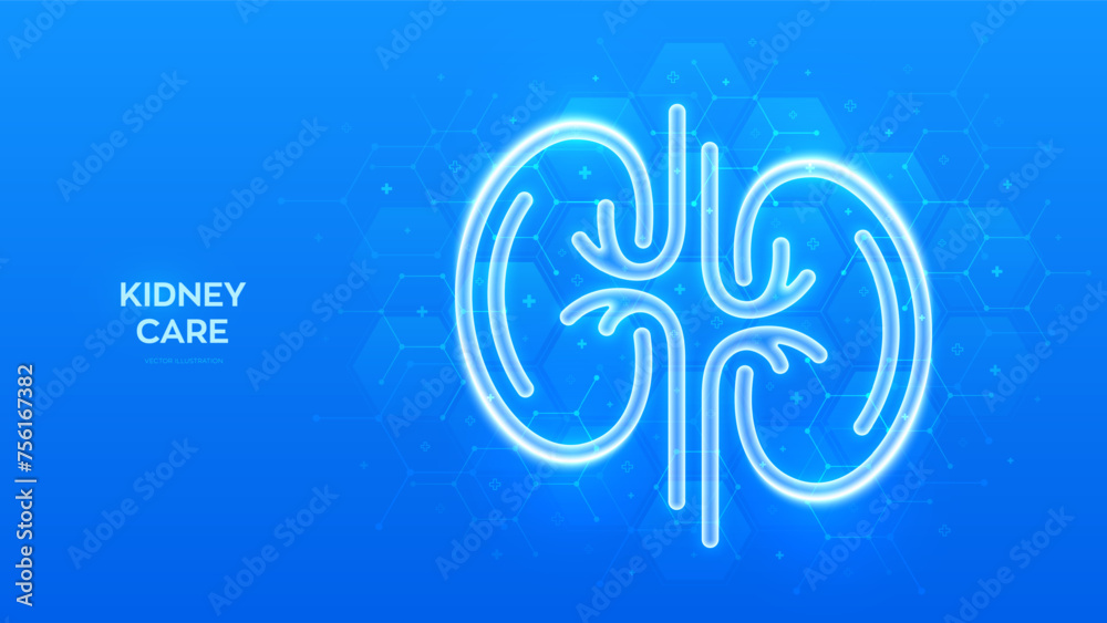 Kidney care. Kidneys icon. World kidney day. Treatment of kidneys ...