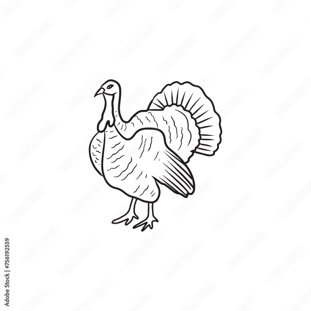 Realistic beautiful turkey cock, gobbler standing in black isolated on ...