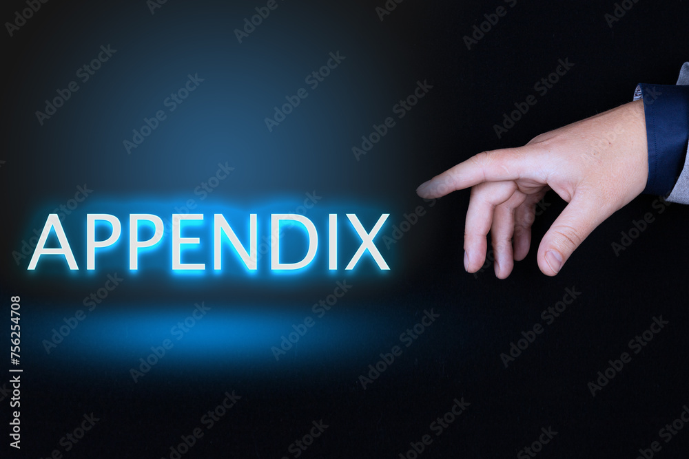 APPENDIX text is a word written in neon letters on a black background ...