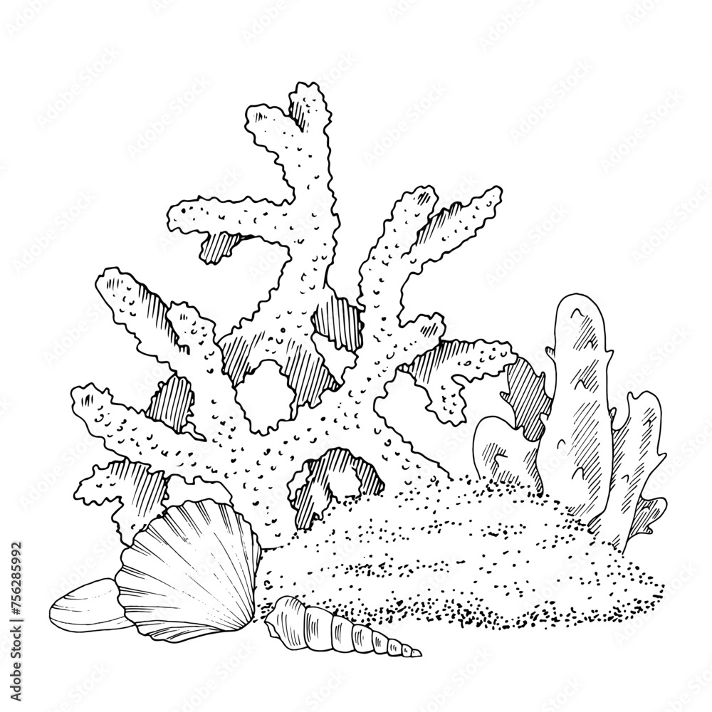Sea print Vector Line art. Coral reef outline. Hand drawn black and ...