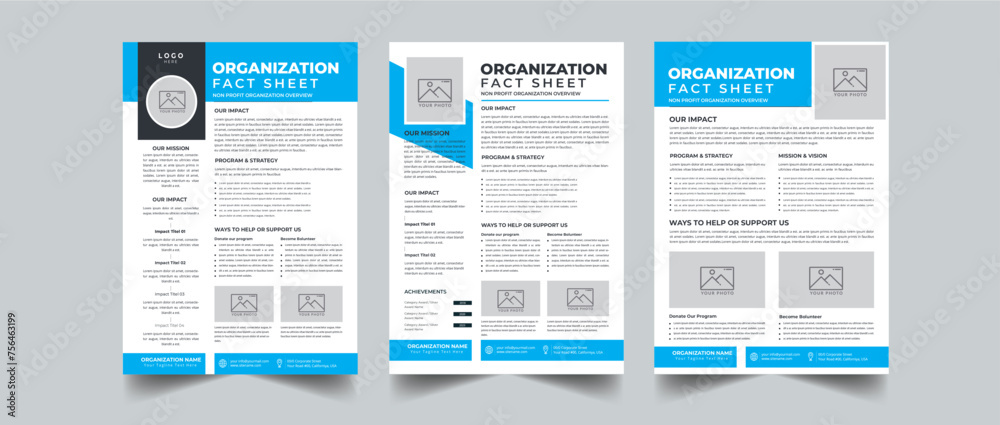 Nonprofit Organization Fact Sheet layout design template with 3 style ...