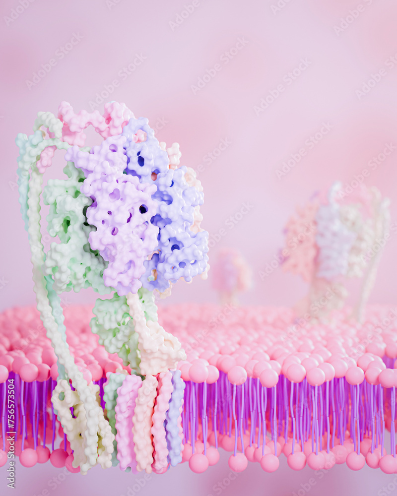 Poster Simulated image of cell membrane, a component of cell wall ...