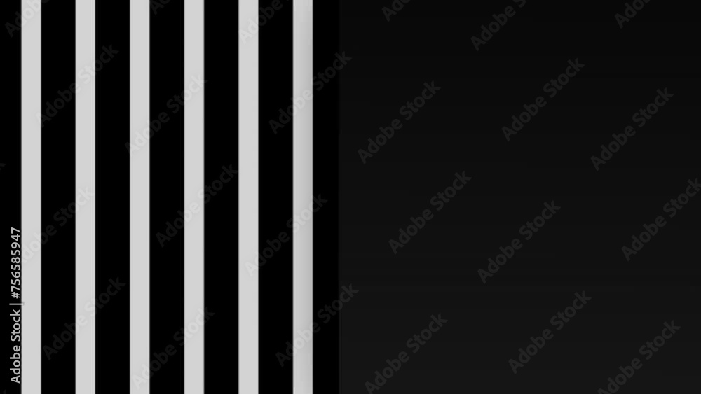 Modern horizontal motion graphic background with black and white ...