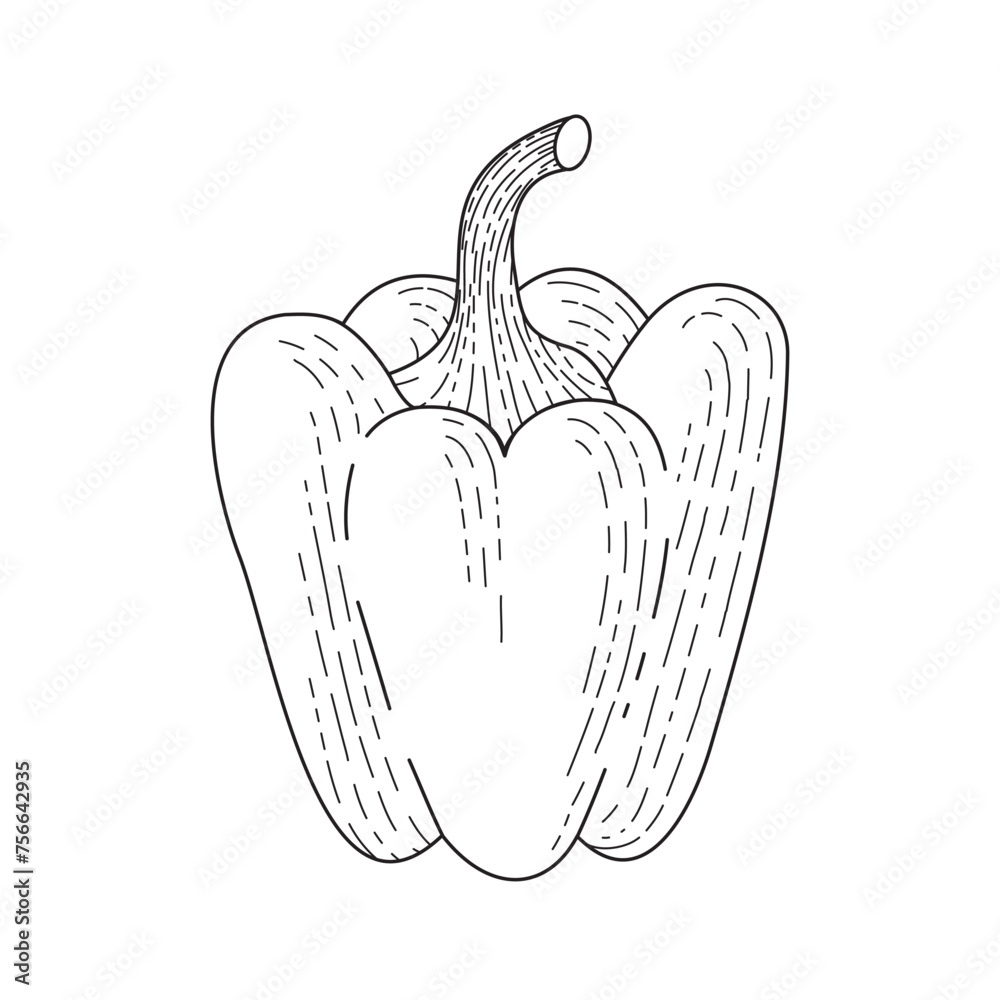 BW vector illustration of food. Fresh bell pepper. Vegetables for ...
