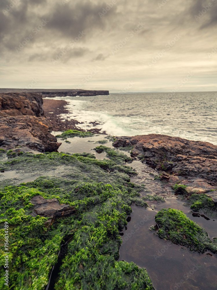 Green moss groves on rough stone coast of Aran island, county Galway ...
