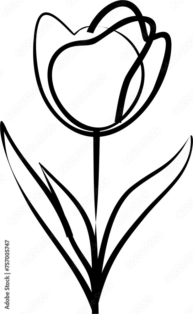 tulip line art minimalist, elegant, tulip, line drawing, curved lines ...