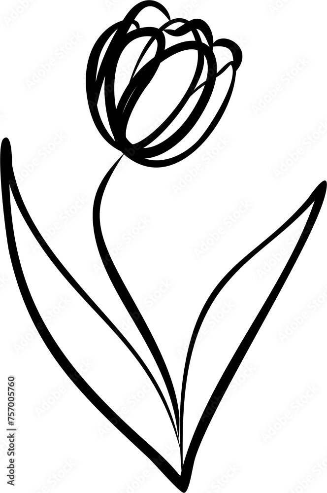 tulip line art minimalist, elegant, tulip, line drawing, curved lines ...