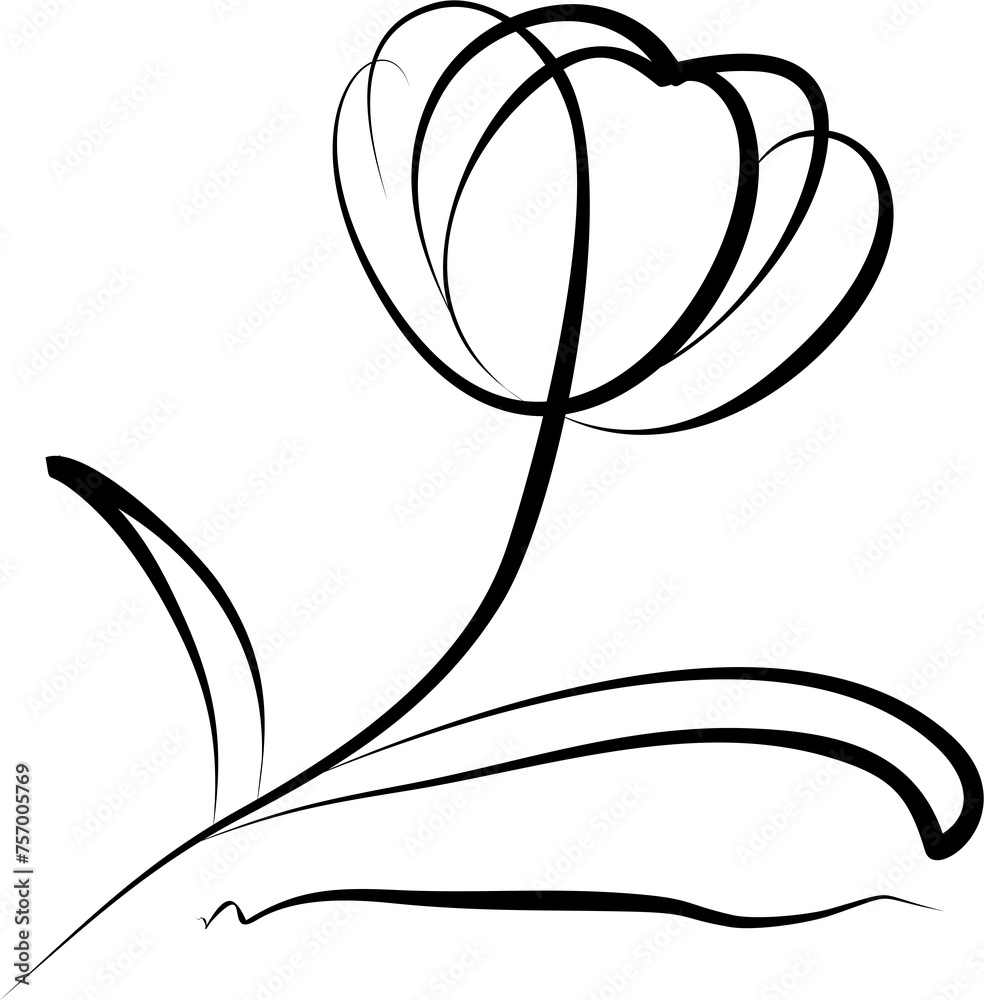 tulip line art minimalist, elegant, tulip, line drawing, curved lines ...