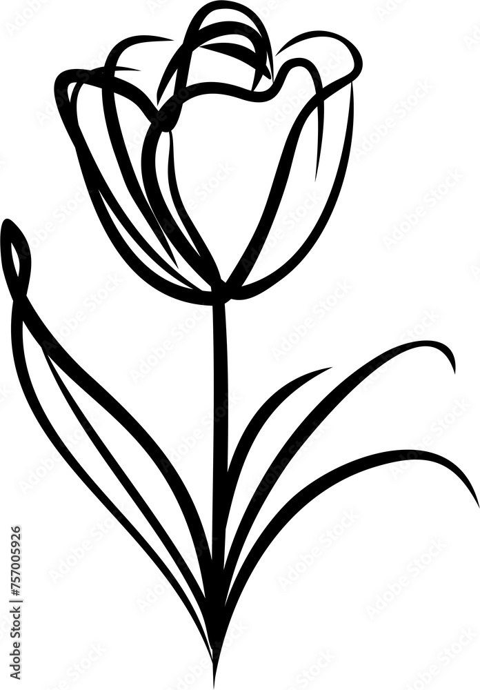 tulip line art minimalist, elegant, tulip, line drawing, curved lines ...