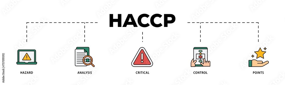 HACCP infographic icon flow process which consists of hazard analysis ...
