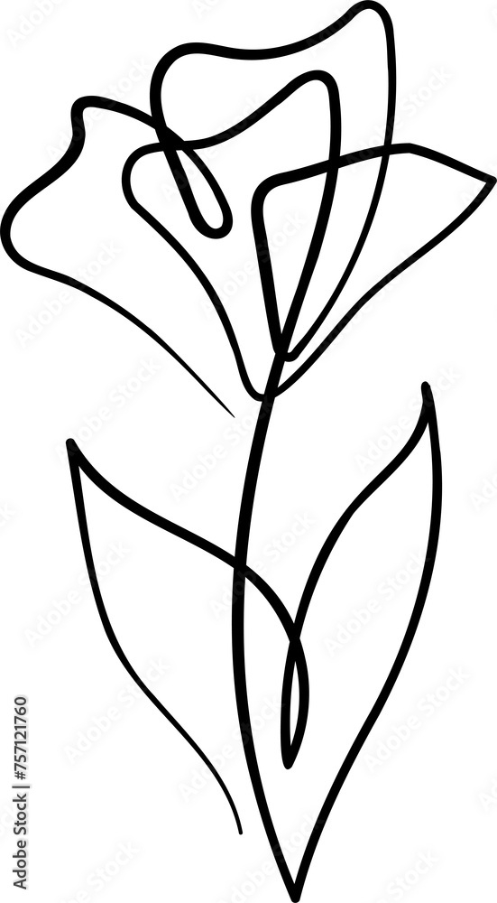 Continuous line drawing. Line art floral concept design. Flower drawing ...