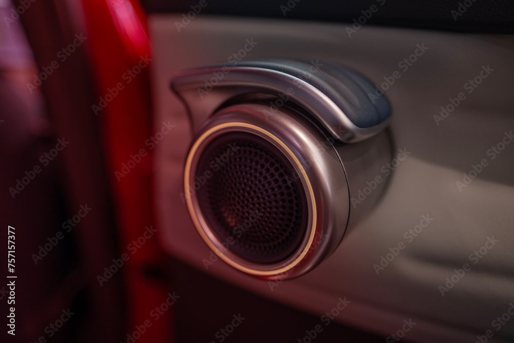 sound system controls on driver's door, instruments physical button ...