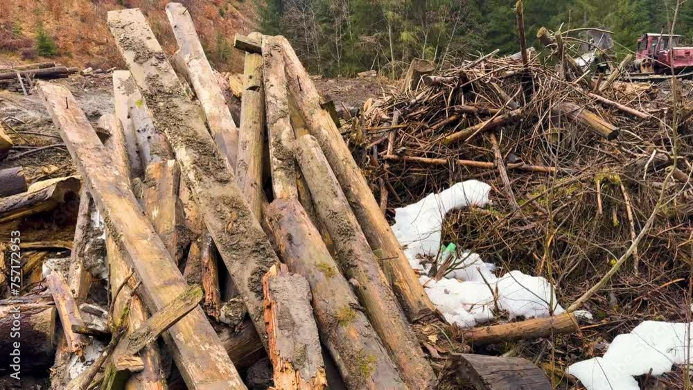 Carpathian forest clearing, seeing dirt and destruction, destroyed ...