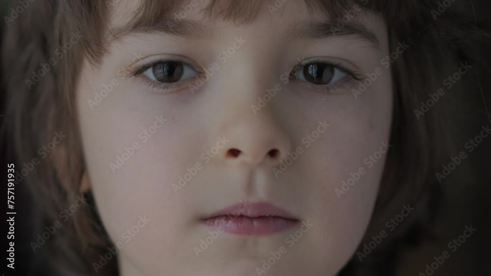 Inquisitive Little Boy Portrait. Face Contemplative Child. Pretty ...