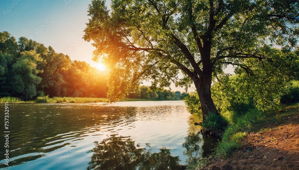 Psalm 1. Blessed be the man. He shall be like a Tree planted by the ...