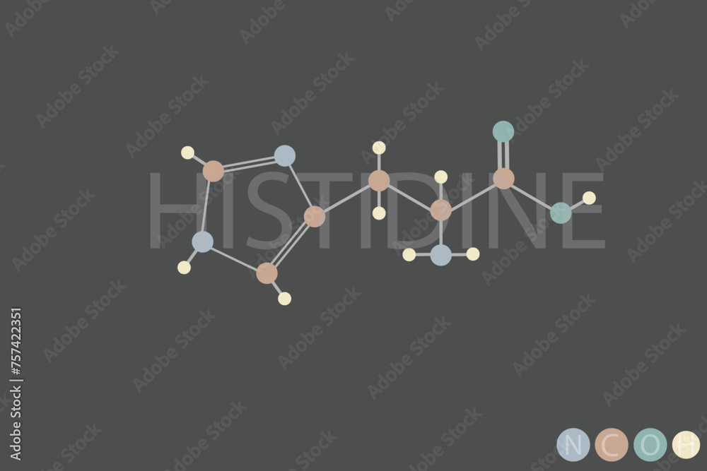 histidine molecular skeletal chemical formula Stock Vector | Adobe Stock