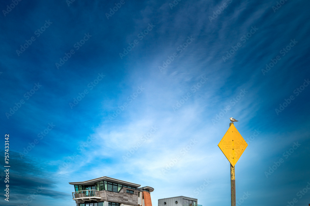 Single gull sitting on a large coastal Telephone Cable sign at a famous ...