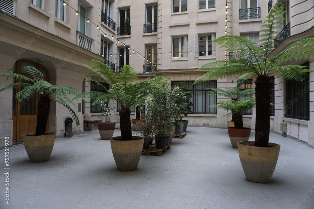 square in the middle of high rises buildings with potted palm trees in ...