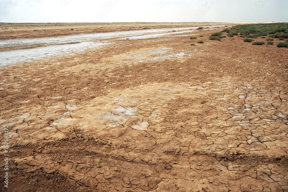 Desert landscape between two salt lakes Chott el Gharsa and Chott el ...