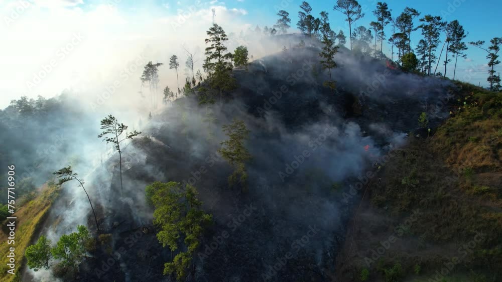 Extreme forest wildfire on Dominican Republic during heatwave season ...