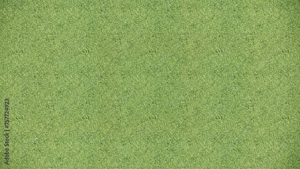 Green grass texture for sport background. Detailed pattern of green ...