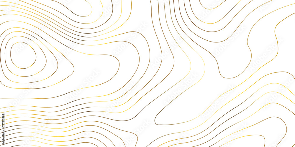 Topographic map background geographic line map pattern .panorama view ...