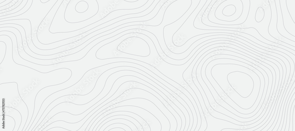 Topographic map background geographic line map pattern .panorama view ...