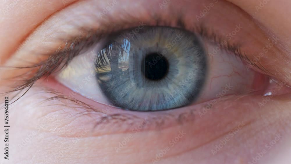 Close-up of Person's Eye With Blue Iris. Blue Eye of Child Looking at ...