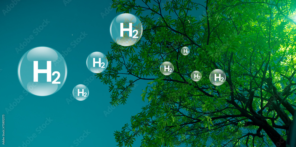 H2 green hydrogen innovation zero emissions technology. Reduce carbon ...