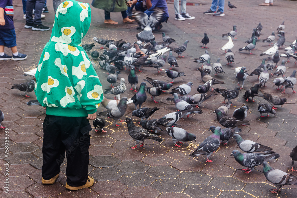 Cute little boy watching pigeons at Batu Caves, Hindu Temple. The boy ...