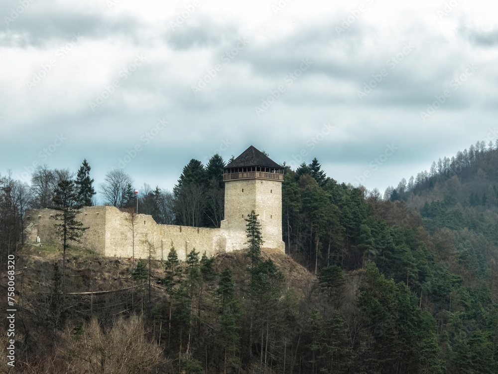 Restored ruins of a medieval castle from the 14th century in Muszyna ...